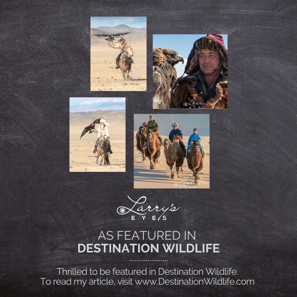 Larry's Eyes – Welcome to the world as seen through Larry's lens.